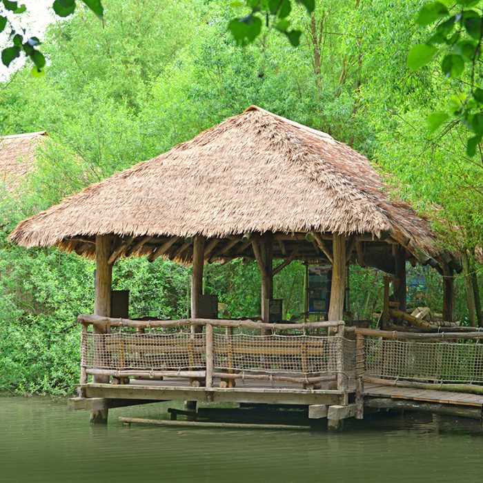 Durable Thatched Straw Roof Solutions By Safari Thatch