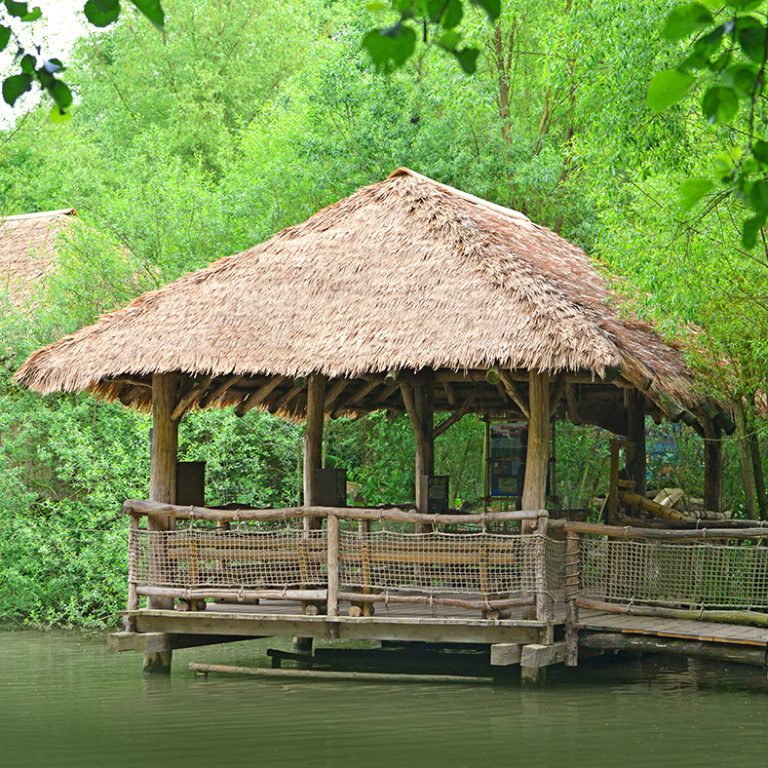 Durable Thatched Straw Roof Solutions By Safari Thatch